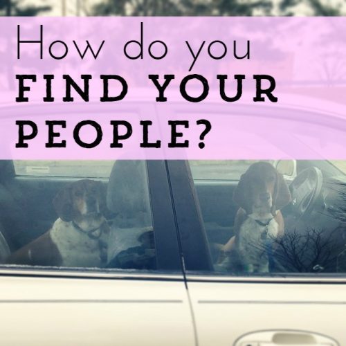 How do you find your people? - Tara Swiger